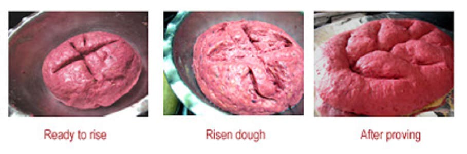 Beet Bread Recipe | Saffron Trail