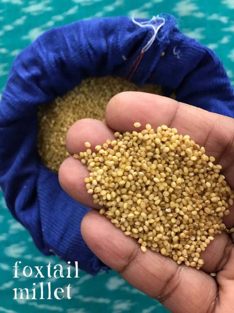 Healthy Millet Recipes | Thinai Recipes | Cooking with Millets on ...